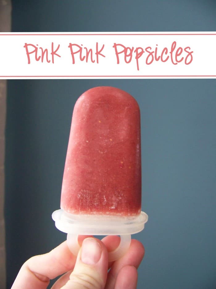 Pink Pink Popsicles Recipe – Mary Martha Mama