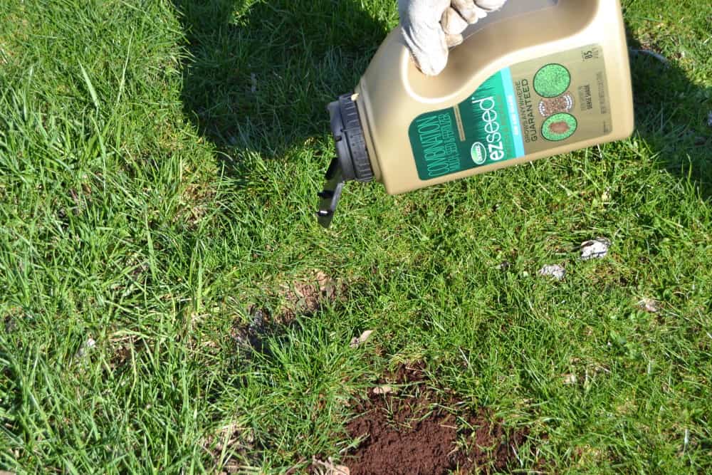 Operation Spring Spruce Up [Outdoor Spring Cleaning Checklist] – Mary ...