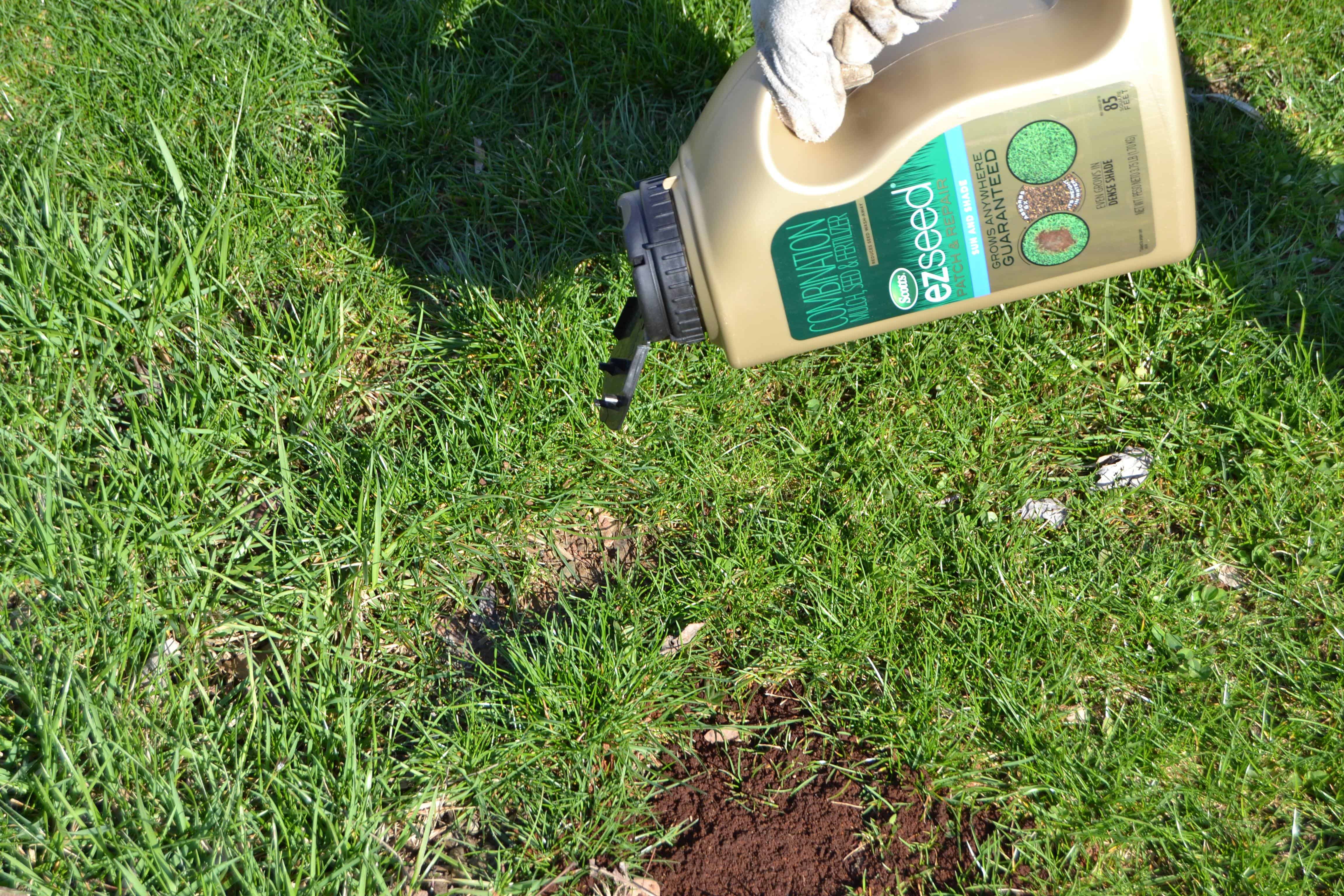 Operation Spring Spruce Up [Outdoor Spring Cleaning Checklist] – Mary ...