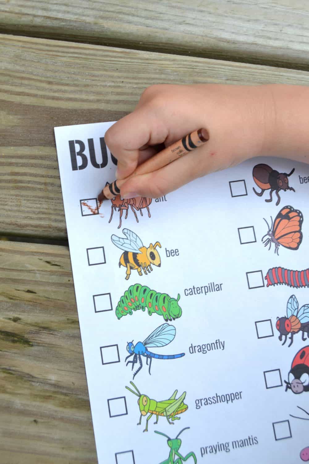 Bug Sensory Bin & Bug Hunt Printable – Mary Martha Mama