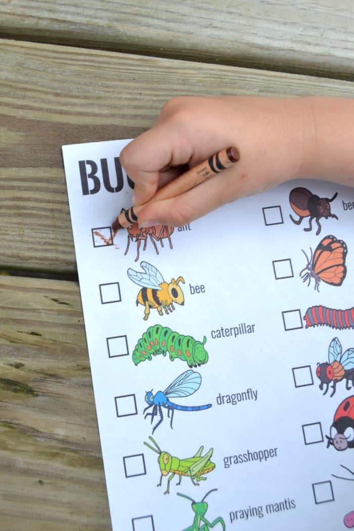 Bug Sensory Bin & Bug Hunt Printable – Mary Martha Mama