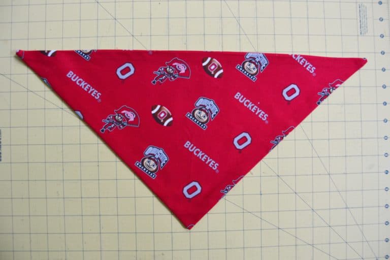 DIY Dog Bandana – Mary Martha Mama