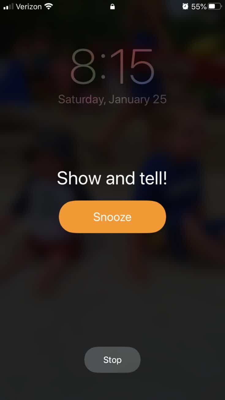 Show and Tell Letter N [96 Ideas for Your Preschooler!] – Mary Martha Mama