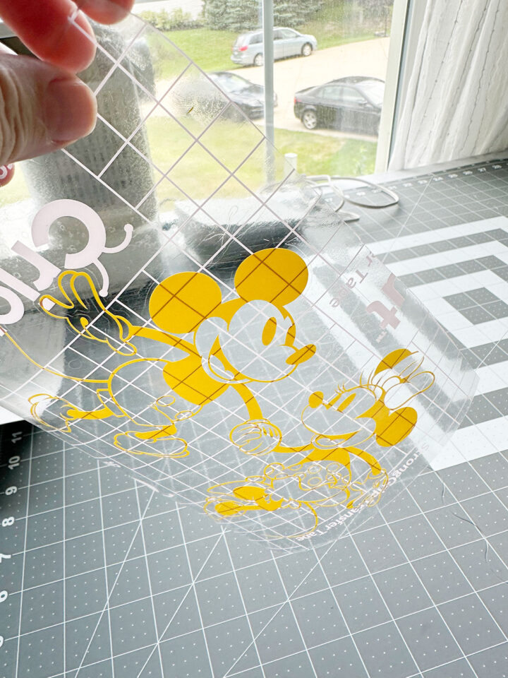 DIY Fish Extender for Your Disney Cruise – Mary Martha Mama