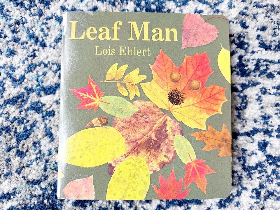 Fall Books for Preschool – Mary Martha Mama