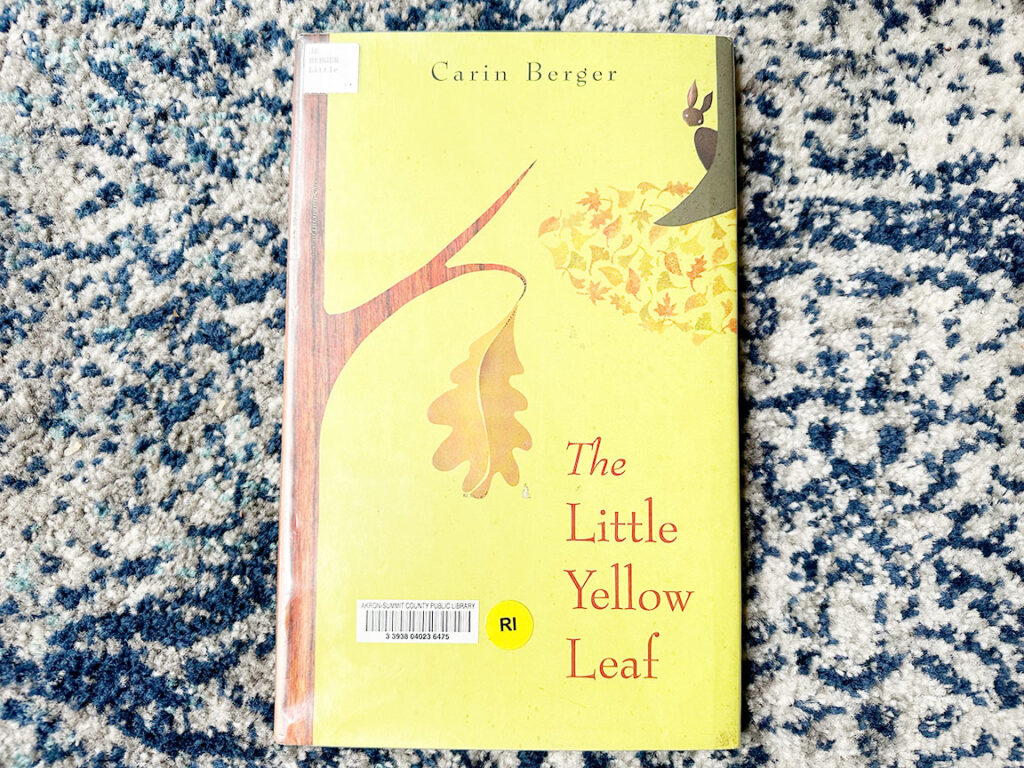 Fall Books for Preschool – Mary Martha Mama