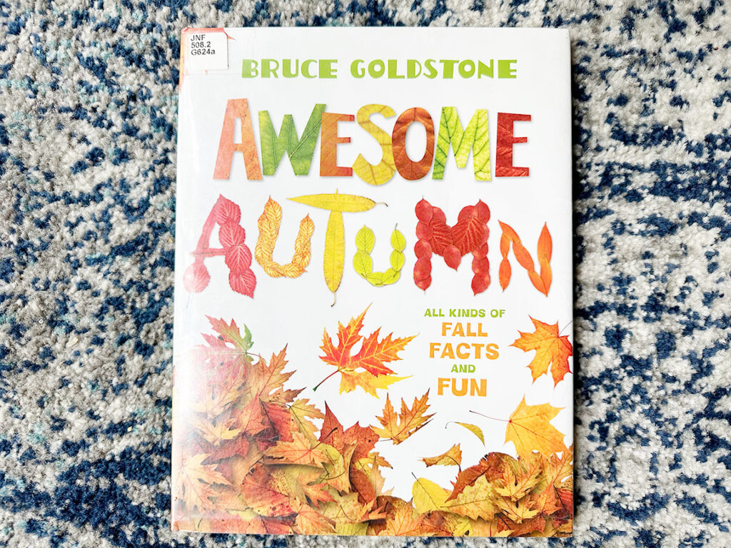 Fall Books for Preschool – Mary Martha Mama