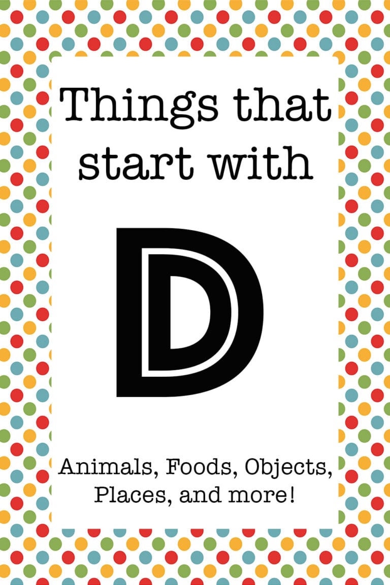 Things that Start with D (Objects, Words, & More) – Mary Martha Mama